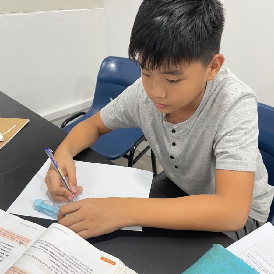 Primary School Levels - Course Overview and Fee Structure